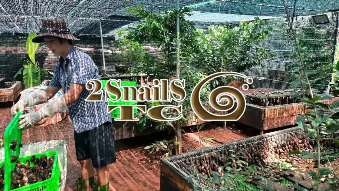 Testez la différence 2 SnailS TC dès aujourd’hui